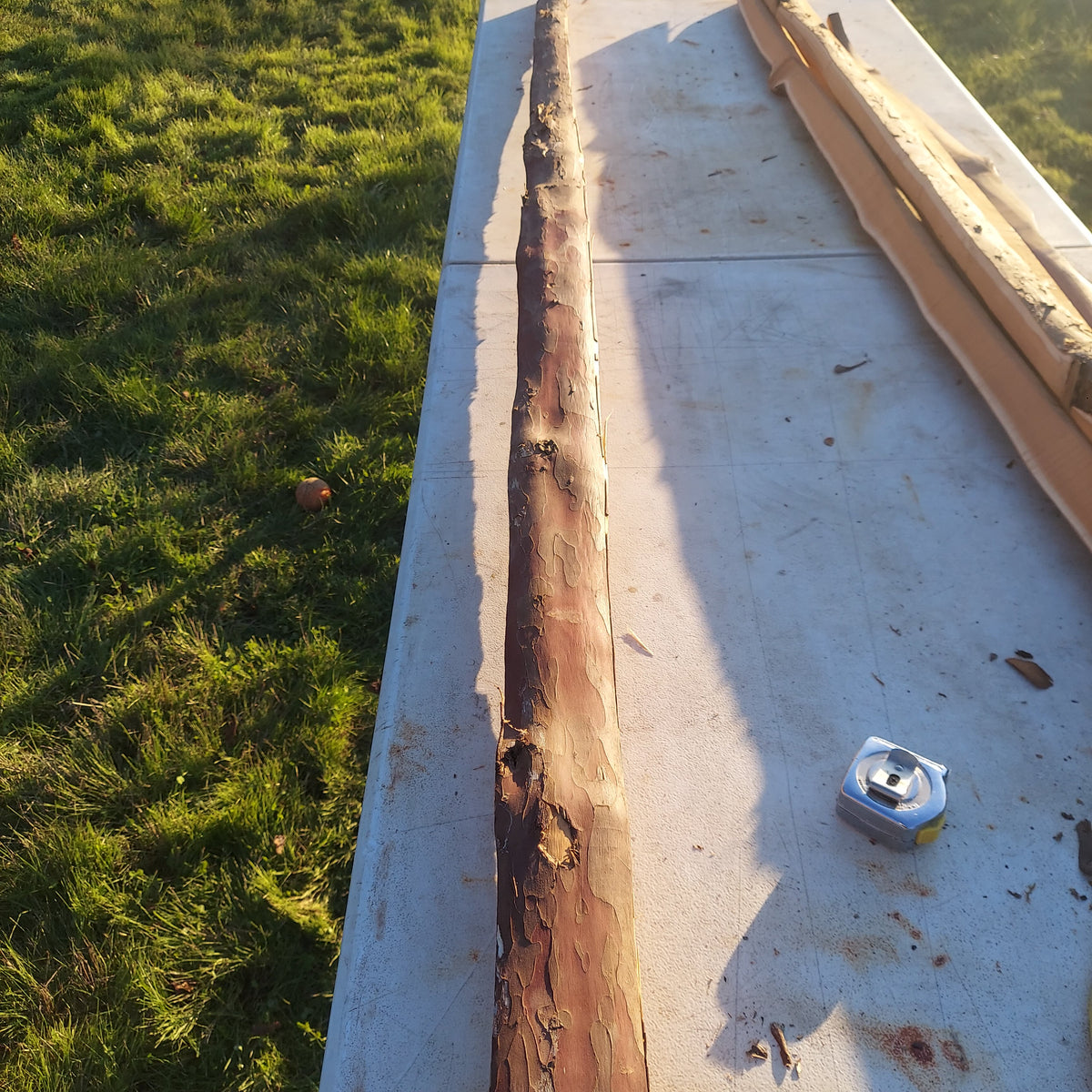 Yew Stave #234 – Echo Archery