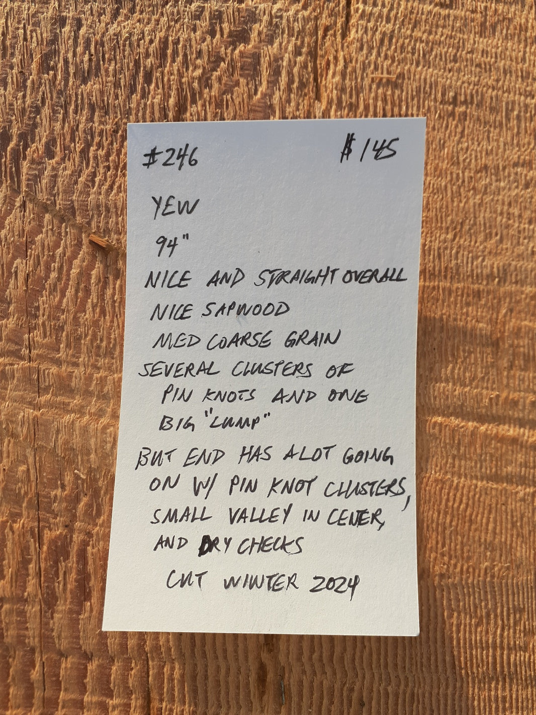 Yew staves – Echo Archery